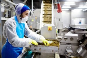 Food Processing PPE: A Guide to PPE Selection