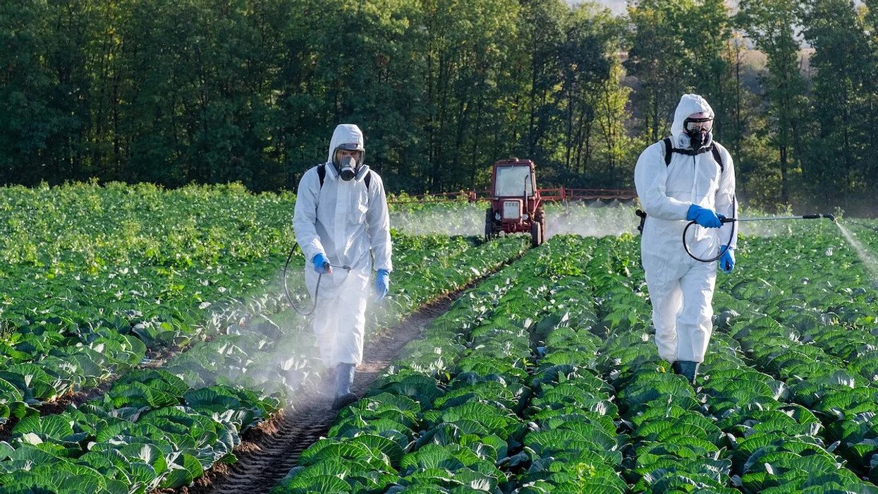 What are the safety tips for pesticides applications? - Disposable ...